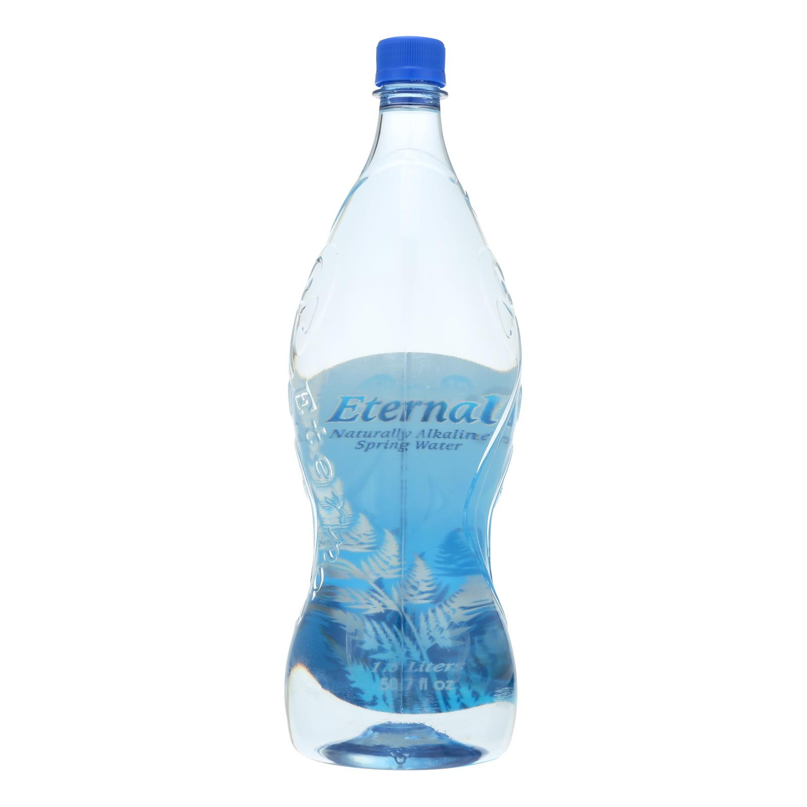 Eternal Naturally Artesian Water - Case Of 12 - 1 Liter