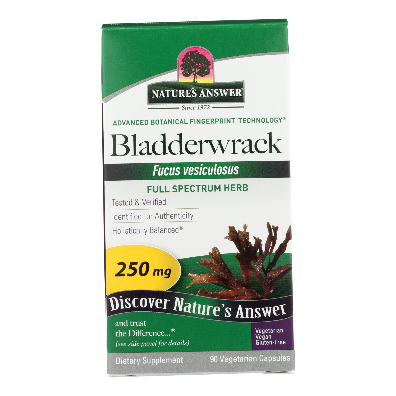 Nature's Answer Black Walnut Complex - 90 Vegetarian Capsules