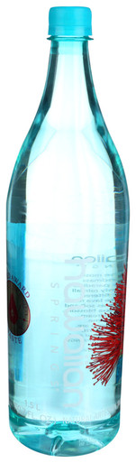 Hawaiian Springs Water - Case of 12 - 1.500 LT - Pure Modern Living