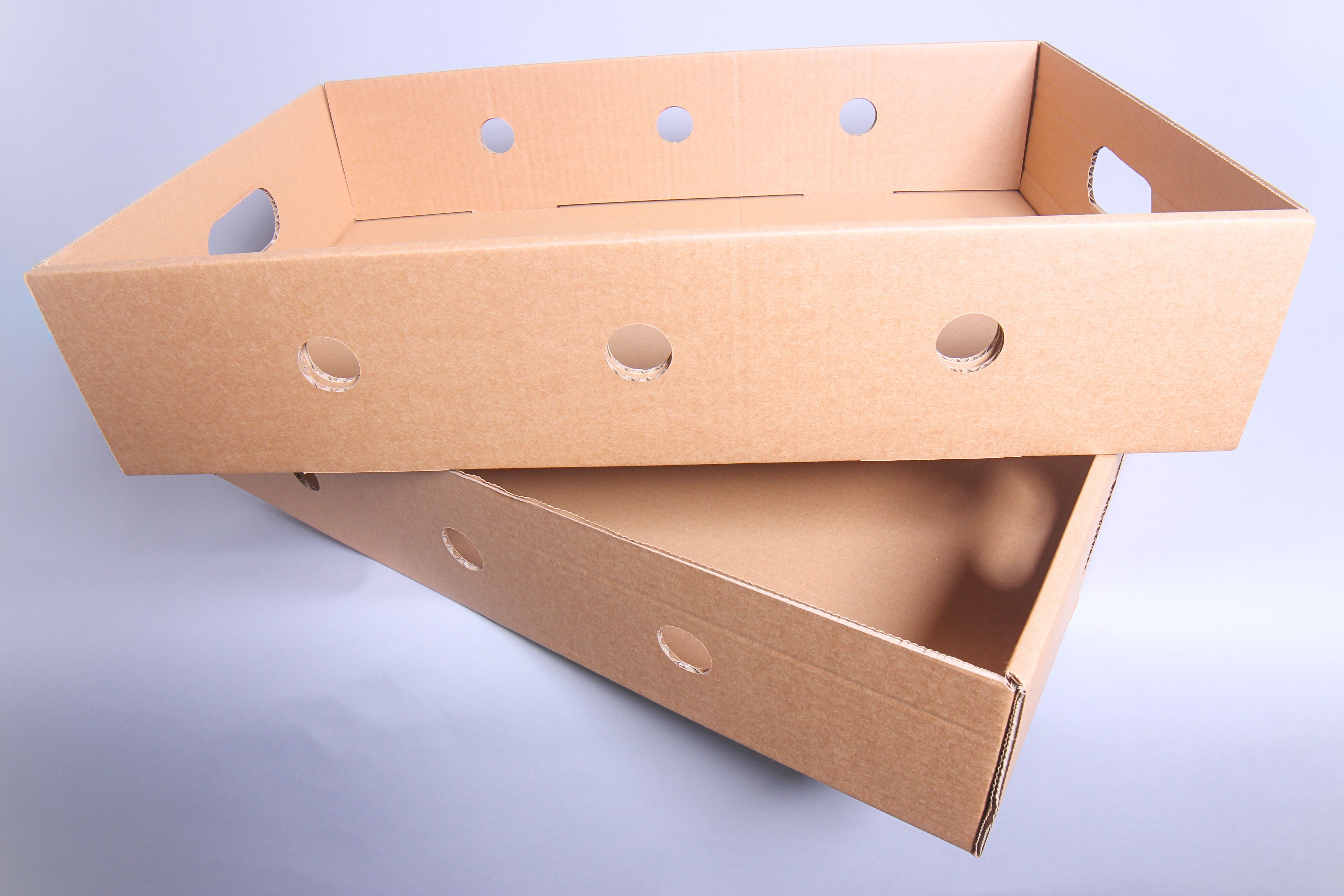 Revolutionising Cold Storage: Introducing ASC Direct's Corrugated ...