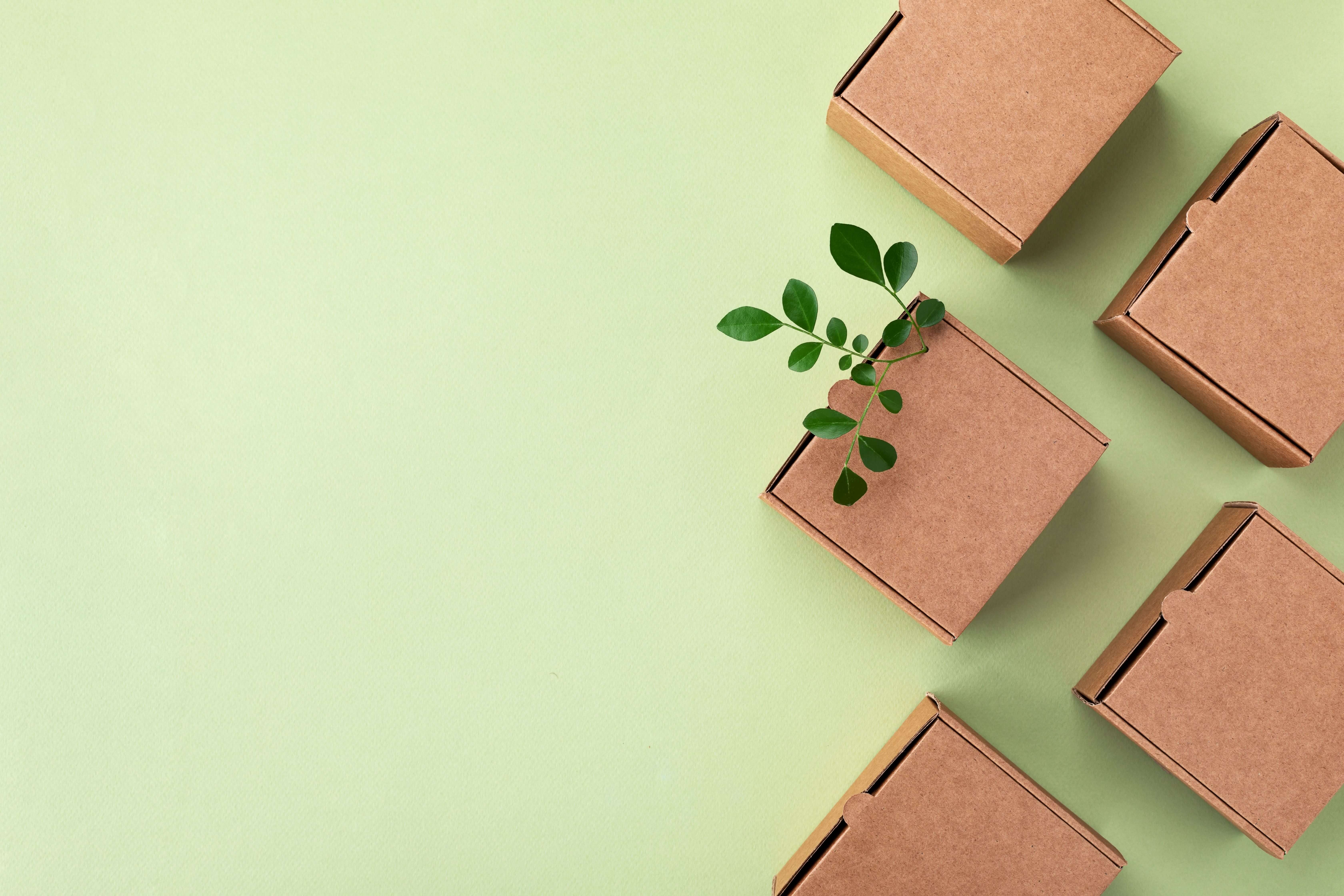A Guide to Environmentally Friendly Materials for Packaging - ASC Direct