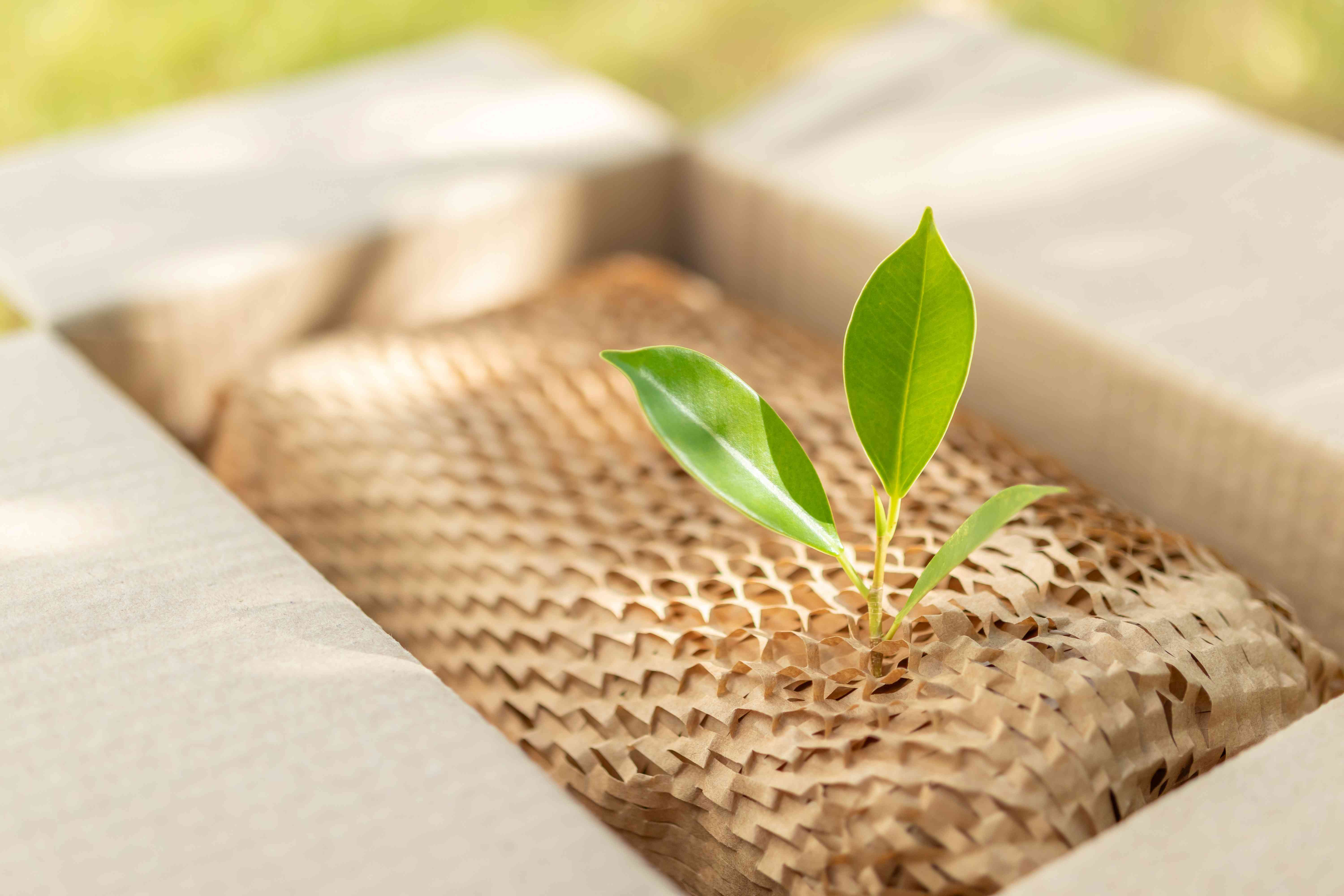 How Can Manufacturers Be More Environmentally Friendly With Their ...