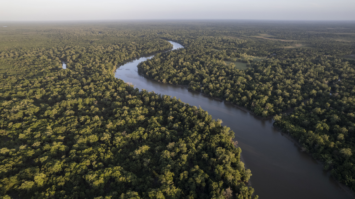 The Amazon Rainforest: Why It Matters - ASC Direct