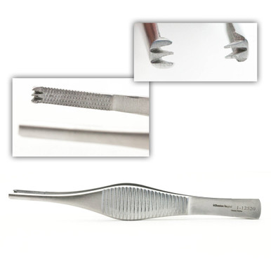Heaney Tissue Fcps 2X3 Teeth 5 1/2In 14Cm | 1-12520 - Millennium Surgical