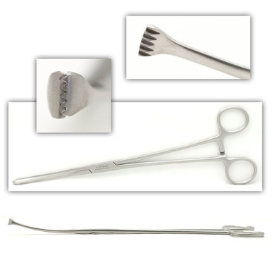 Allis Tissue Fcps 10In 5X6 Teeth Curved | 1-270-C - Millennium Surgical