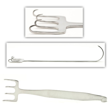 Freeman Rake 4 Sharp Prongs 1.5In Wide 7In Lng | 1-881066 - Millennium ...