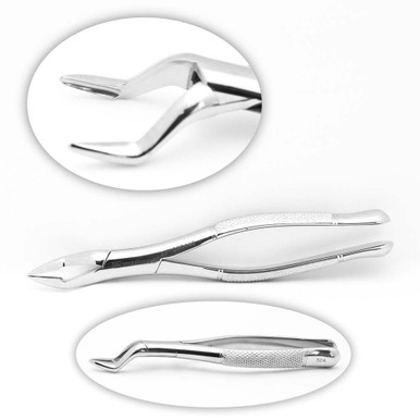 Extracting Forceps #32A | 17-090440 - Millennium Surgical