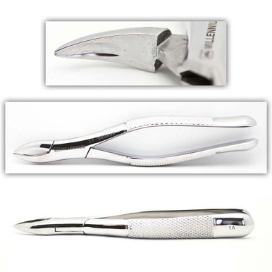 Extracting Forceps #1A Standar | 17-090449 - Millennium Surgical
