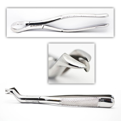 Extracting Forceps #88R | 17-090455 - Millennium Surgical