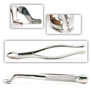 Extracting Forceps #53R | 17-090458 - Millennium Surgical