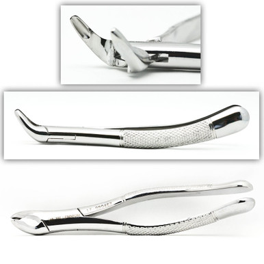 Extracting Forceps #151A | 17-090467 - Millennium Surgical