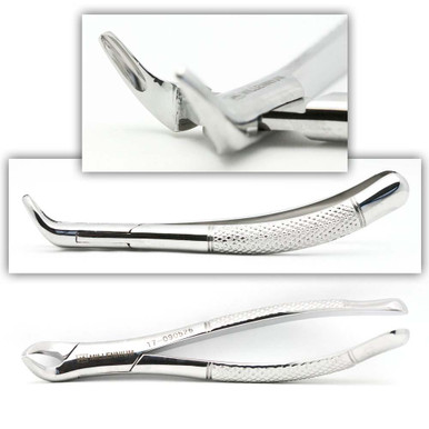 Extracting Forceps #151S | 17-090526 - Millennium Surgical