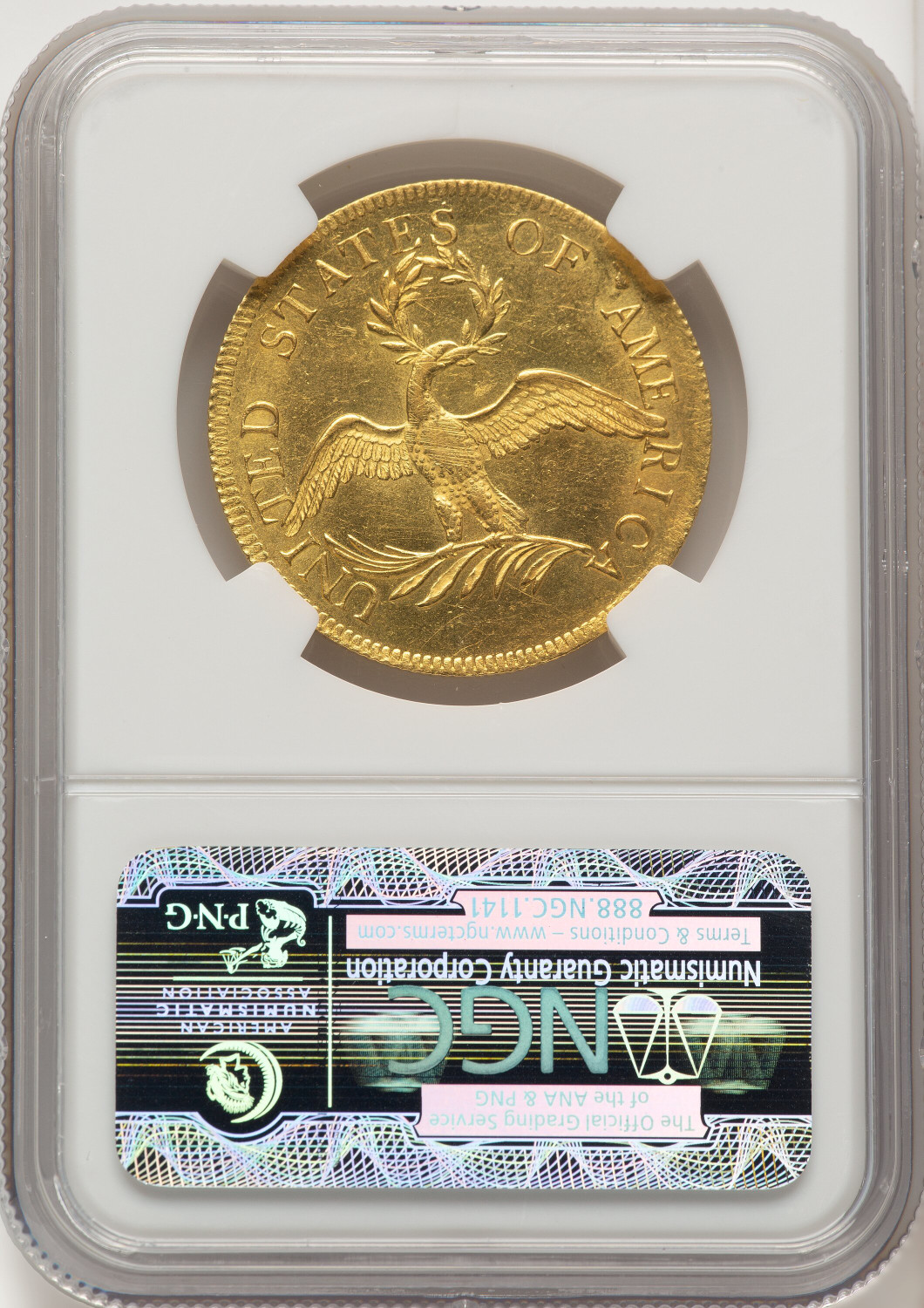 1795 $10 13 Leaves Early Eagle NGC MS64 - LCR Coin