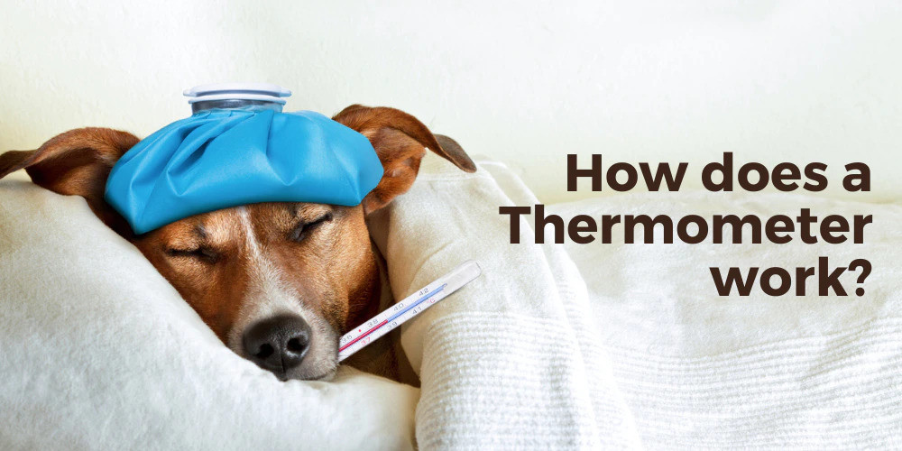 What type of Thermometer do I need and what are the choices?