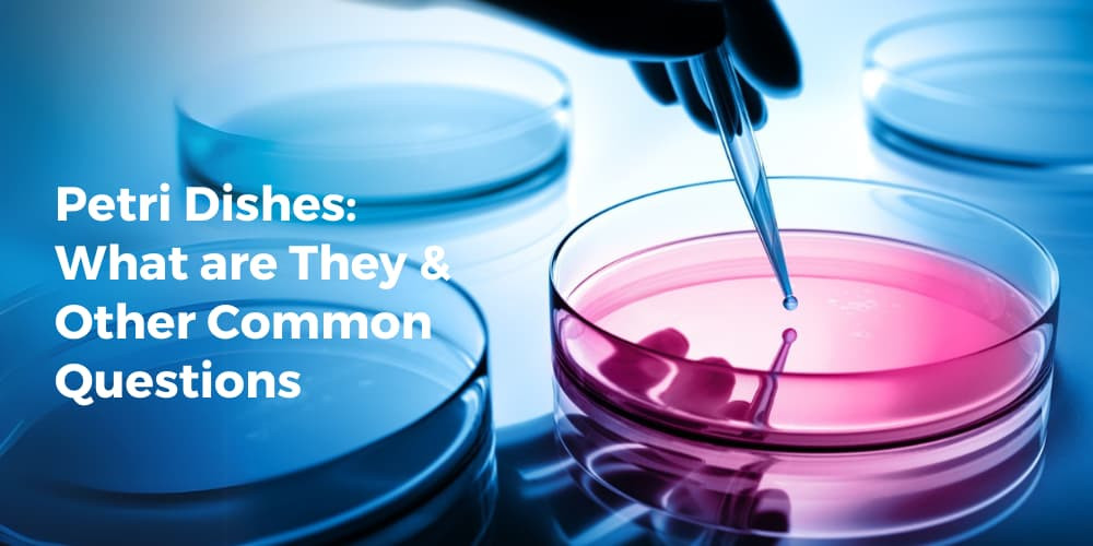 Over the years, Petri dishes have become an essential tool in ...