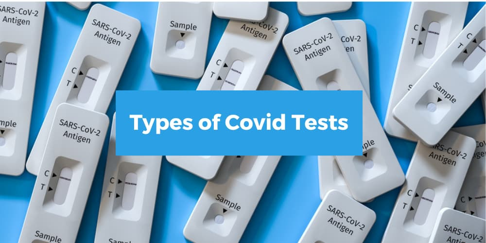 What’s the difference between a PCR test and a rapid test? Can a blood ...