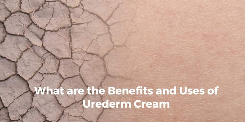 Facebook Email Twitter Linkedin Pinterest