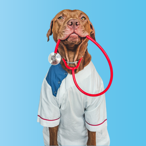 home blog guide to ppe eye protection in healthcare