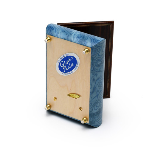 Gorgeous Handcrafted 23 Note Light Blue Musical Instrument Theme Wood ...