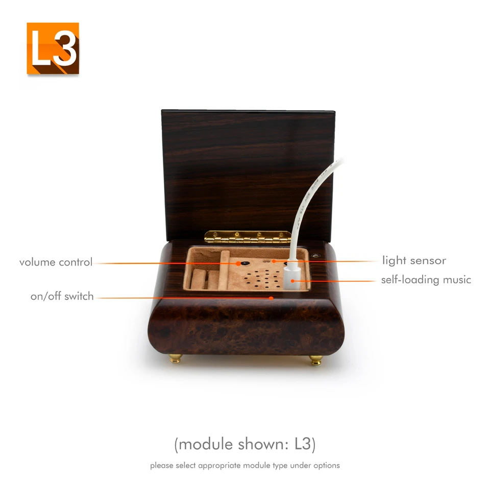 Adorable Custom Sound Module Music Box with Floral Themed Inlay ...