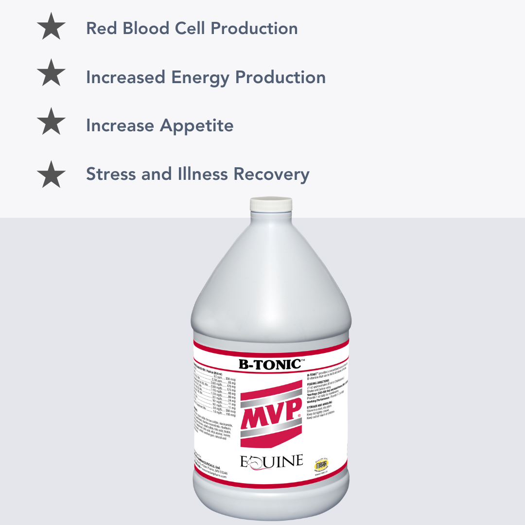 B-Tonic Horse Blood Builder | Save $$ Compared to Lixotinic | Ships FREE