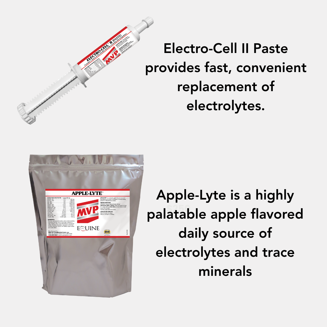Electro-Cell (Paste) Horse Supplement | MVP - Free Shipping