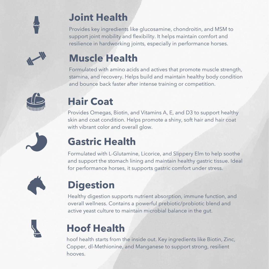 Exceed 6-Way (Pellet) Horse Feed Supplement | Med-Vet Pharmaceuticals