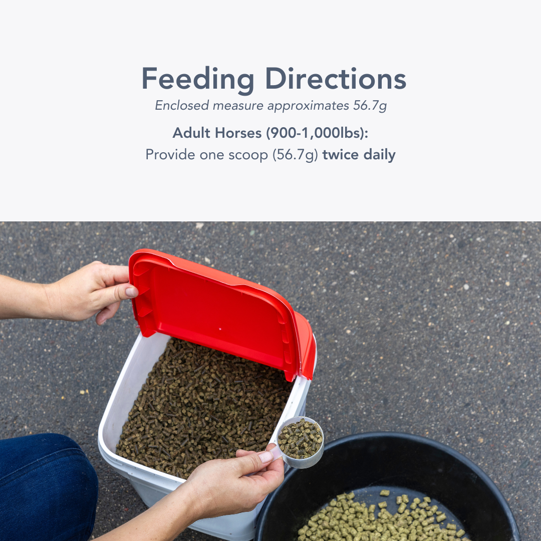 Exceed 6-Way (Pellet) Horse Feed Supplement | Med-Vet Pharmaceuticals