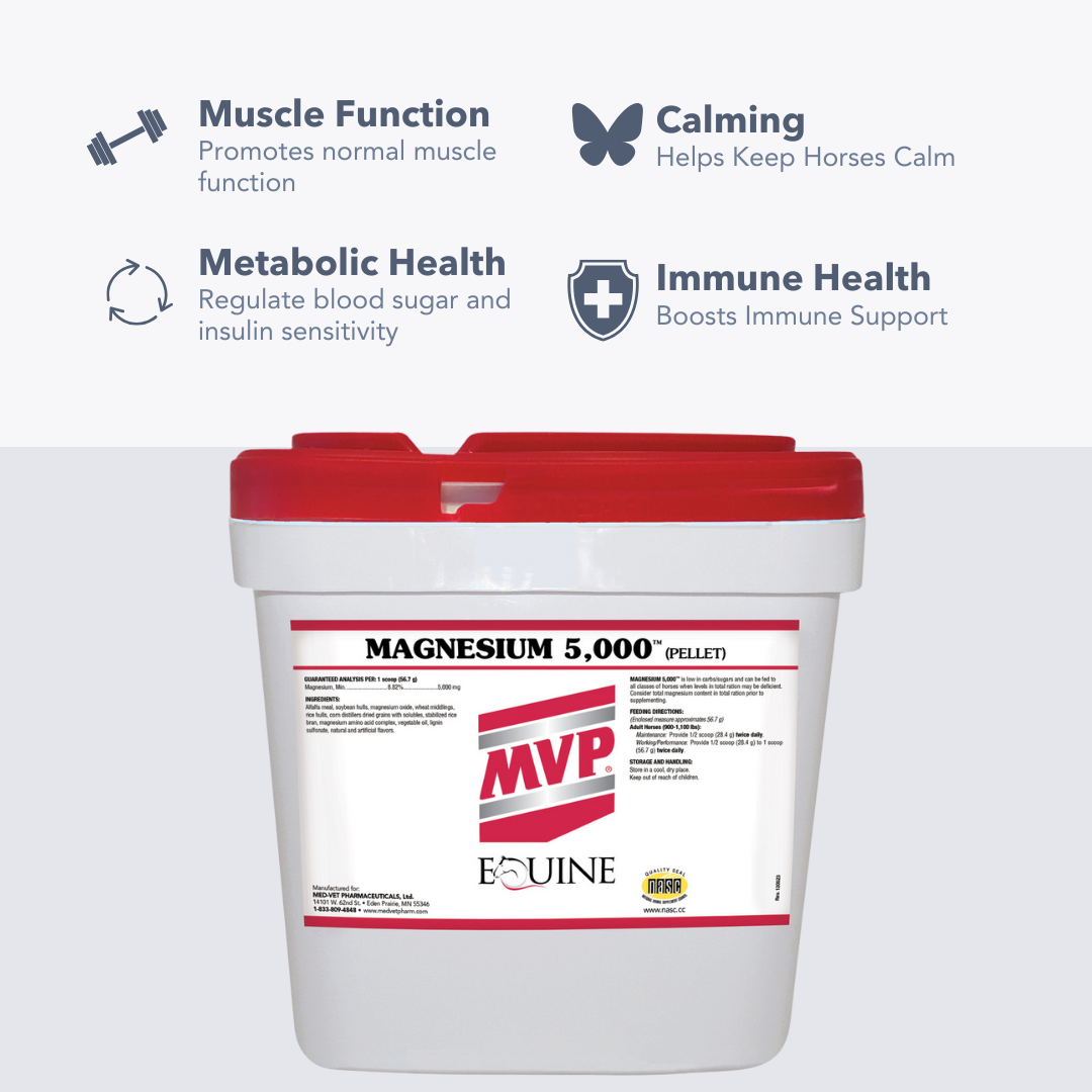 Magnesium 5,000 Muscle Function Support | MVP - Free Shipping