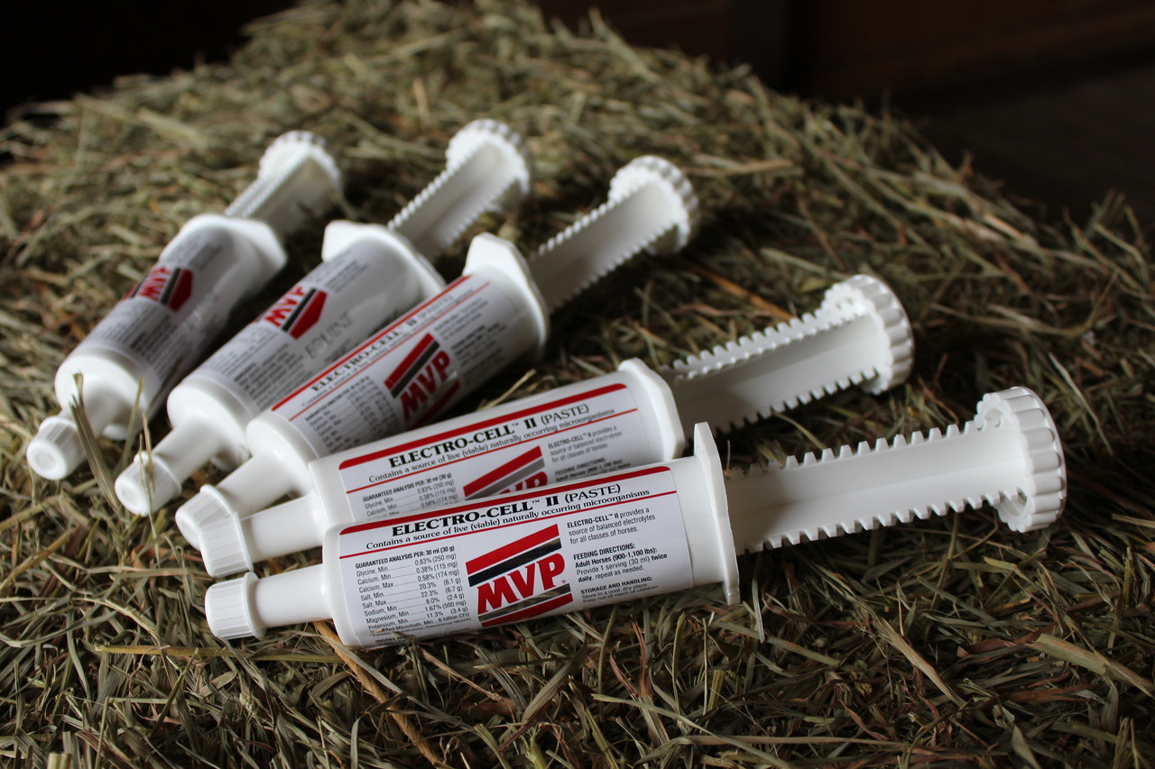 Electro-Cell (Paste) Horse Supplement | MVP - Free Shipping
