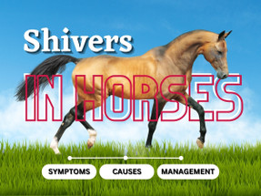 Shivers in Horses - Symptoms, Causes & Management - Med Vet Pharmaceuticals