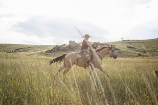 Understanding PSSM - Med Vet Pharmaceuticals