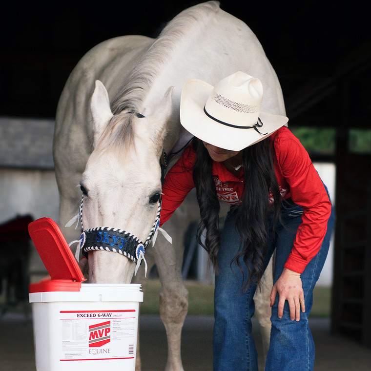 Exceed 6-Way (Pellet) Horse Feed Supplement | Med-Vet Pharmaceuticals