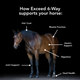 Exceed 6-Way (Pellet) Horse Feed Supplement | Med-Vet Pharmaceuticals