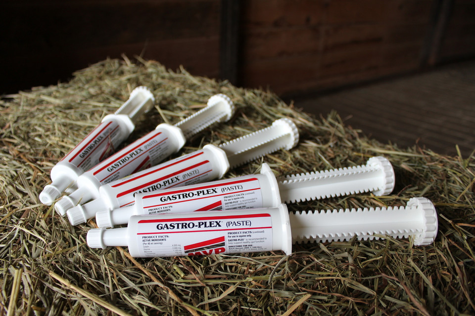 Gastro-Plex (Paste) Horse Calming Supplement -MVP