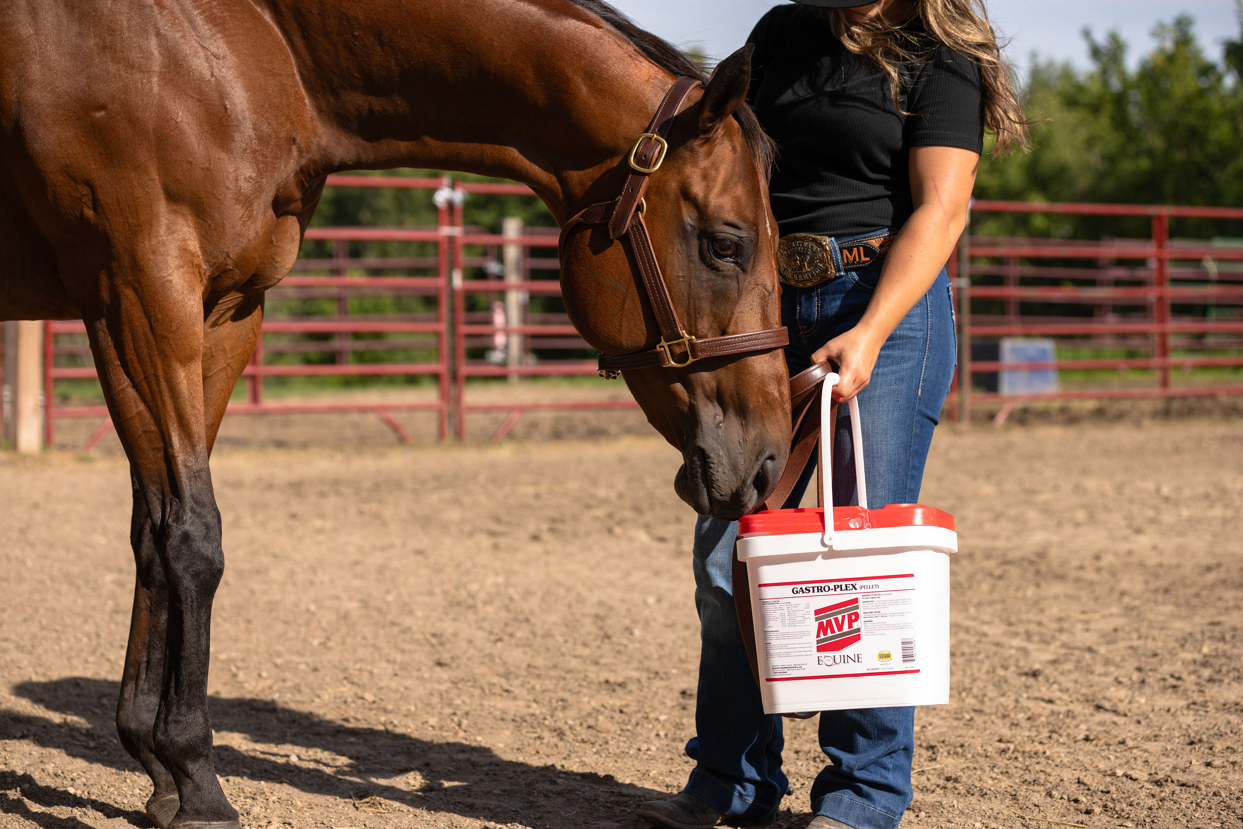 Is Your Supplement Tested? - Med Vet Pharmaceuticals