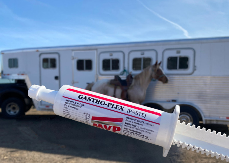 5 Tips for Giving Paste to the Picky Horse - Med Vet Pharmaceuticals