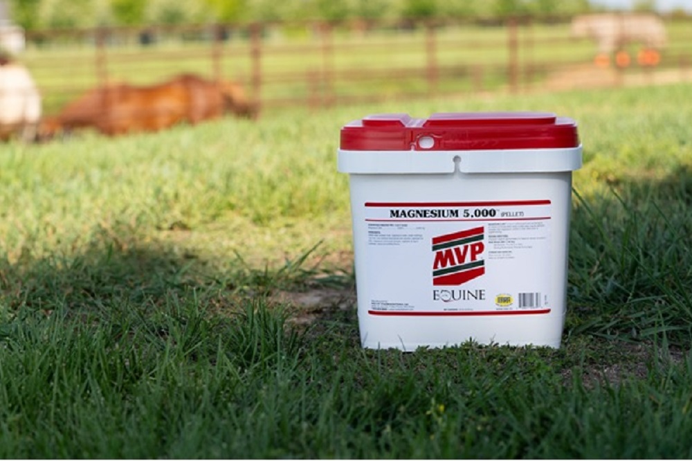 Magnesium for Horses: Key Benefits, Importance & Best Supplements - Med ...