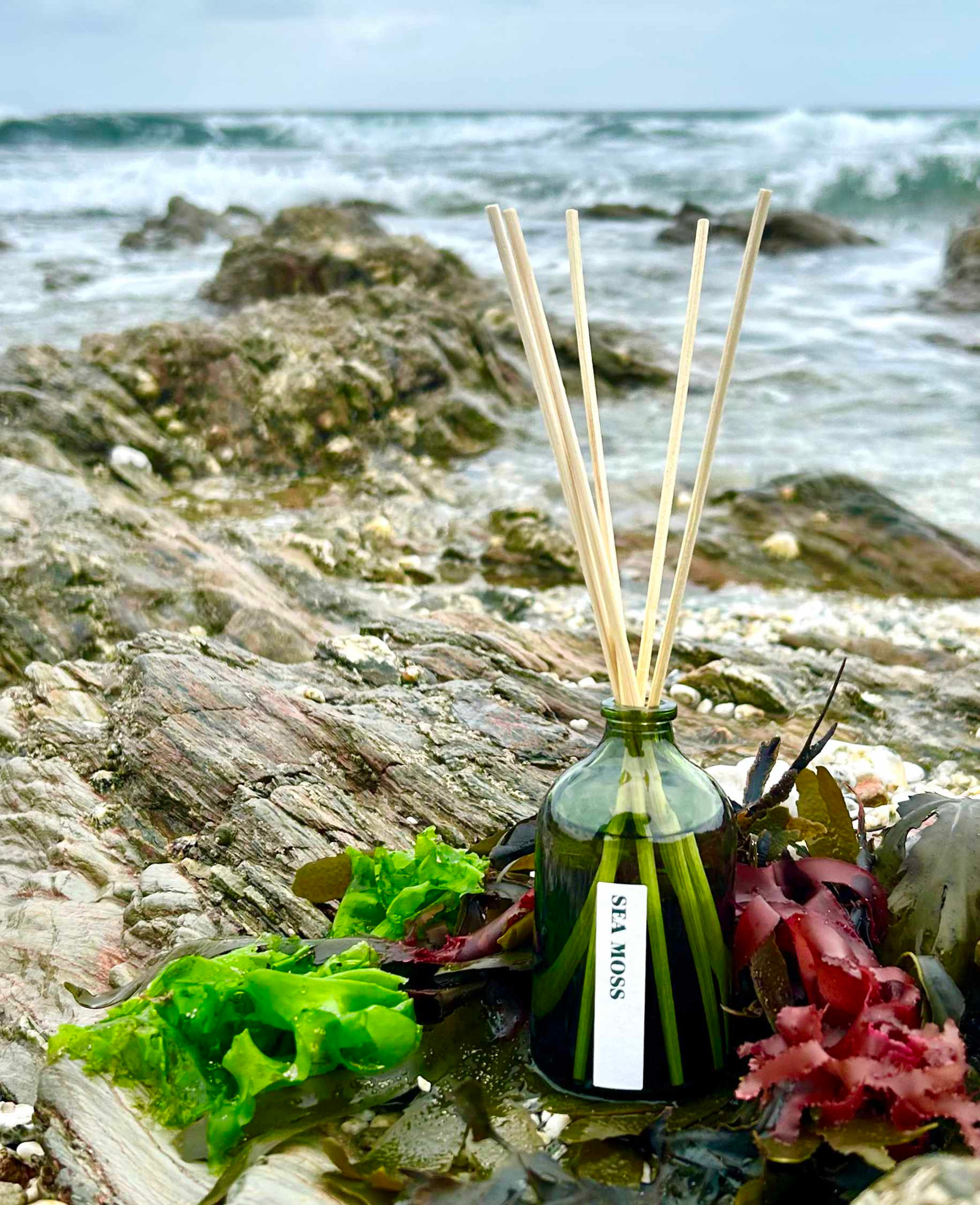 Sea Moss - Green Botanical 100ml Reed Diffuser by Heaven Scent - Heaven ...
