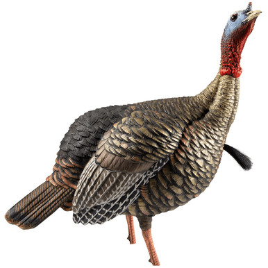 Avian X HDR Jake Turkey Decoy - Freedom Outdoors