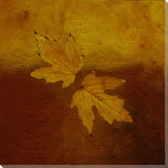 Autumn Leaves Six Wrapped Canvas Giclee Print Wall Art | Contemporary ...