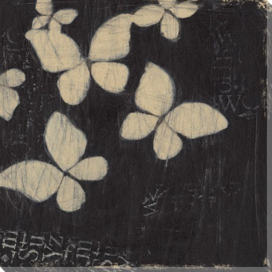 Chalkboard Butterflies II Wrapped Canvas Giclee Print Wall Art | Insect ...