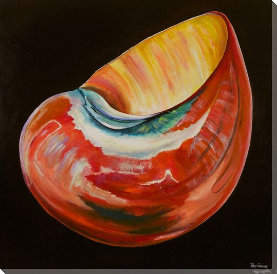 Cooper Turbo Shell Wrapped Canvas Giclee Print Wall Art | Coastal Wall ...