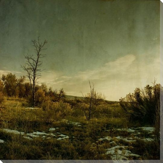 Quite Boundary Scenic View Wrapped Canvas Giclee Print Wall Art ...