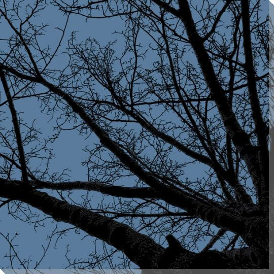 Twilight Trees Blue Left Wrapped Canvas Giclee Print Wall Art | Forest ...