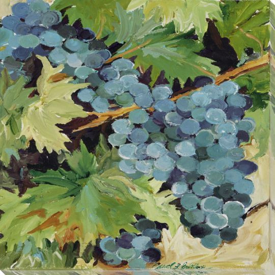 Pinot Grapes Wrapped Canvas Giclee Print Wall Art - Wall Decor - Artwork