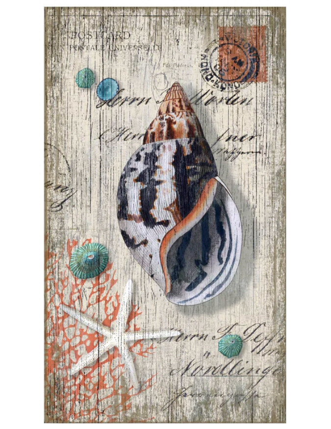 Spiral Sea Shell Vintage Style Wooden Sign - Antique Retro Wood Sign