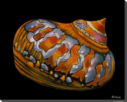 Cooper Turbo Shell Wrapped Canvas Giclee Print Wall Art | Coastal Wall ...