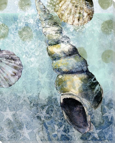 Colorful Moon Shell 1 Wrapped Canvas Giclee Print Wall Art - Wall Decor ...