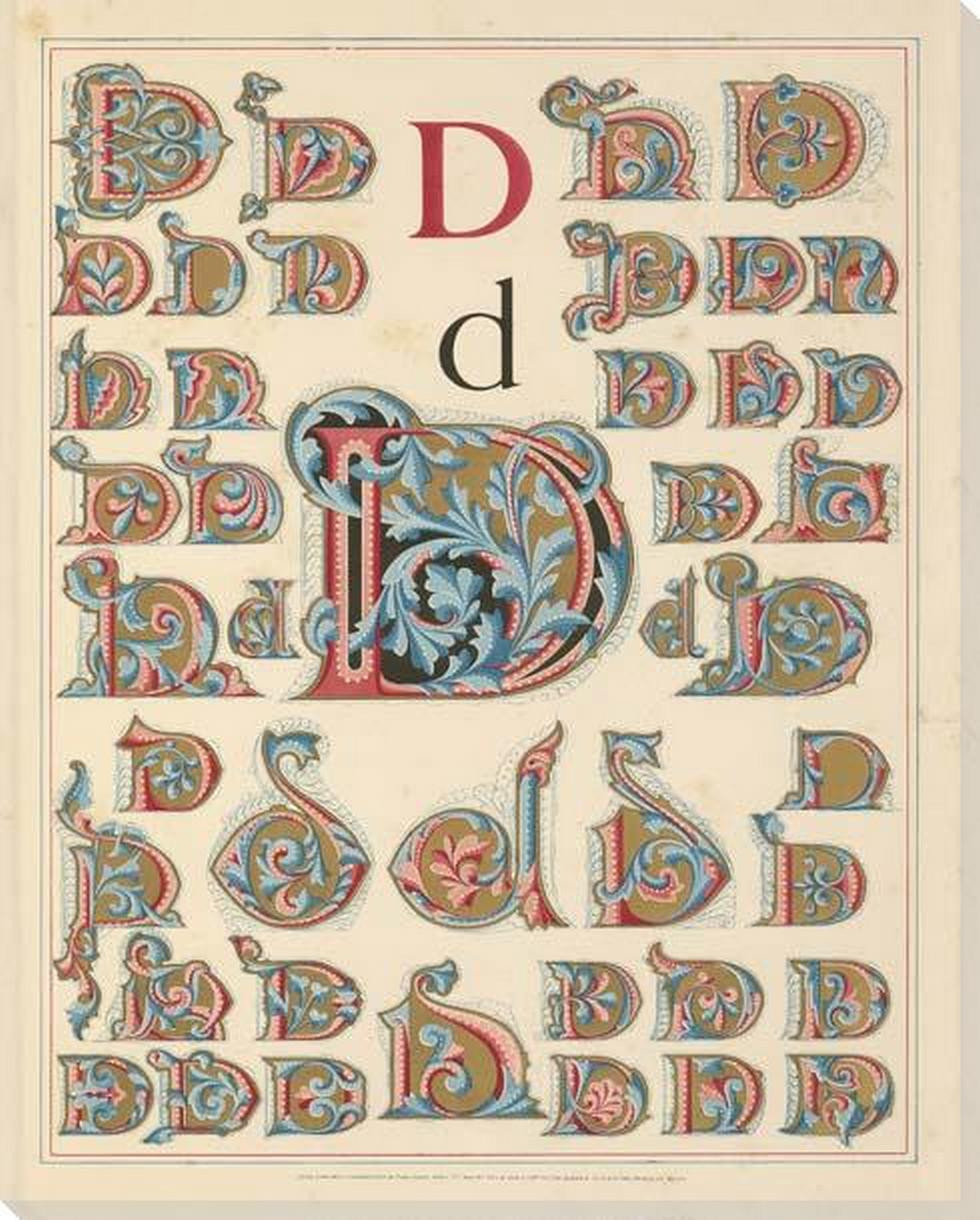 D for Doll Wrapped Canvas Giclee Print Wall Art - Wall Decor - Artwork
